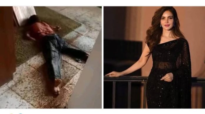 Humaira Asghar: La actriz que murió en soledad y conmocionó a Pakistán ...